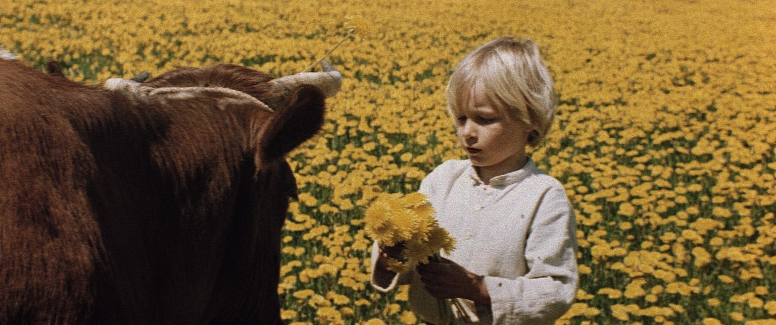 Portālā filmas.lv – filma „Puika” (1977) un astoņi jubilāri | Filmas.lv ...